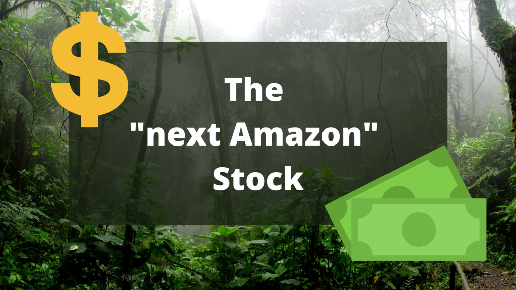The Next Amazon Stock - What is it? How do you Find it?